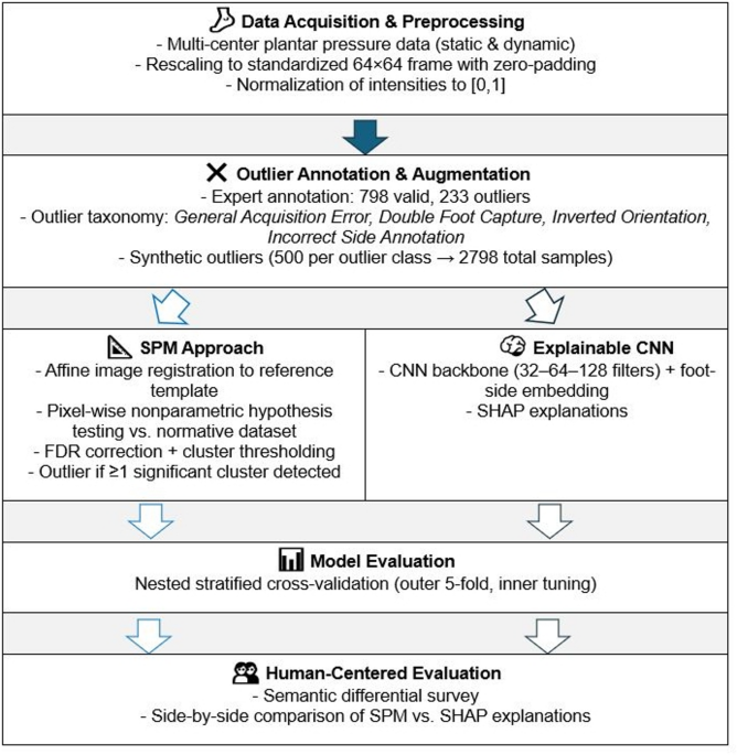 Human-centered evaluation of statistical parametric mapping and ...